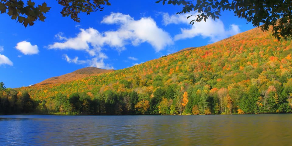 Mountain Stream Land | Upstate New York, Western Massachusetts ...
